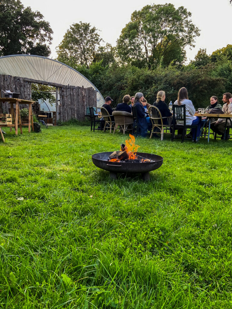 Teambuilding sankning og vild mad