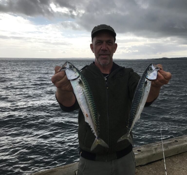 Sådan fanger du Makrel fra kysten - Fange makrel