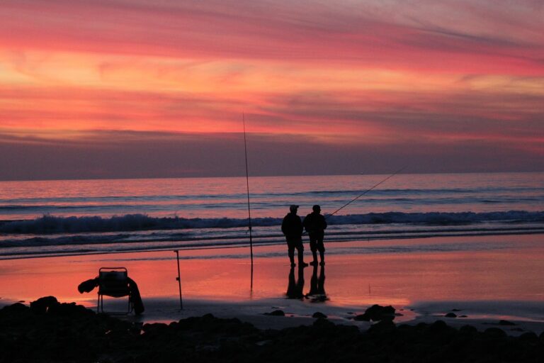 Hyben Roser - Opskrifter og Anvendelse
